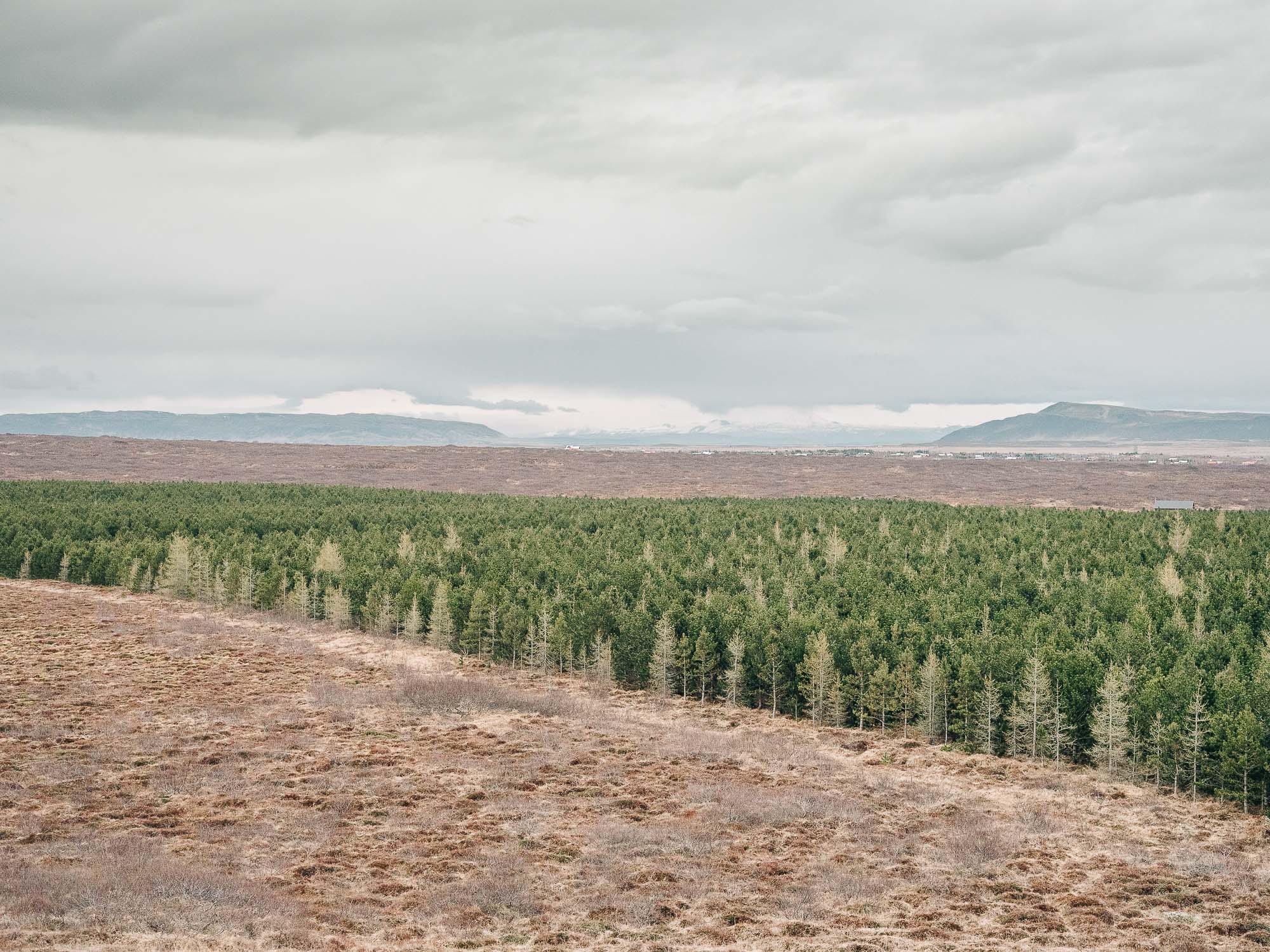 Forestry in Treeless Lands – Jan Richard Heinicke